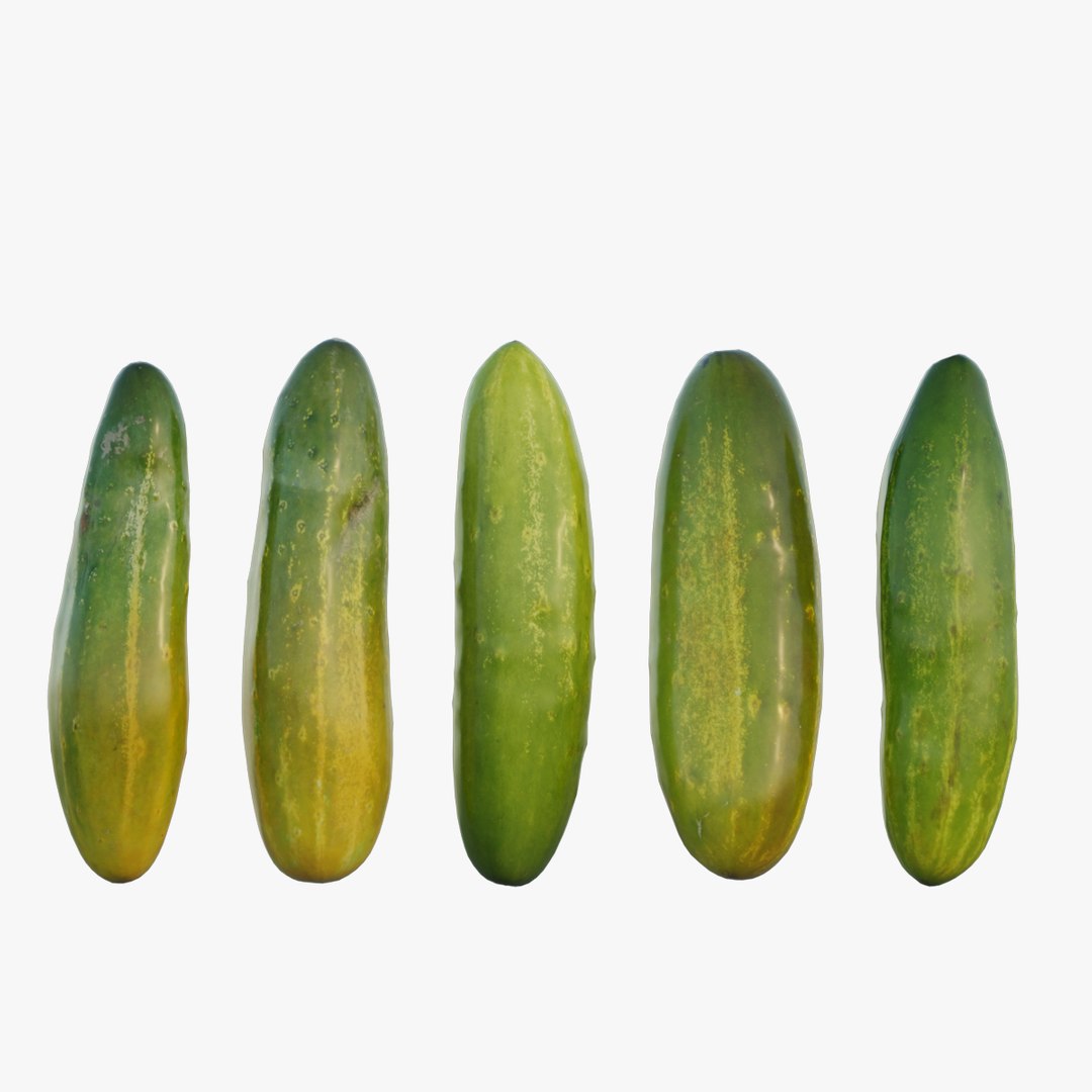 3D Cucumber 03 - TurboSquid 1903557