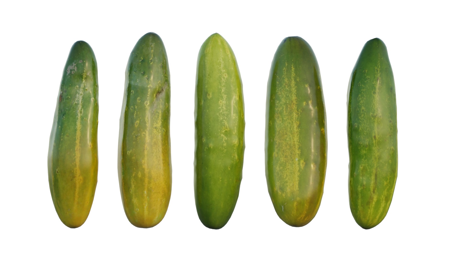 3D Cucumber 03 - TurboSquid 1903557