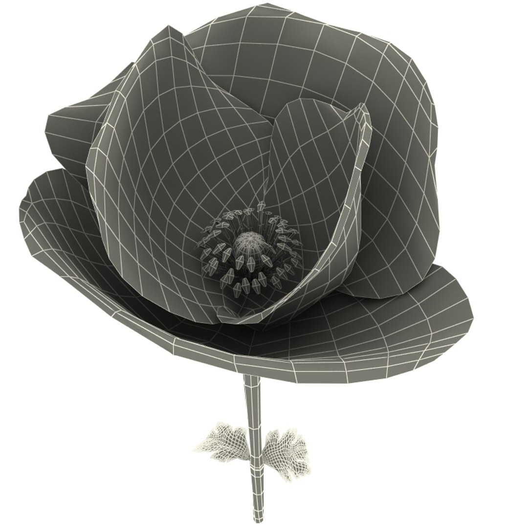 3d Model Poppy Modelled