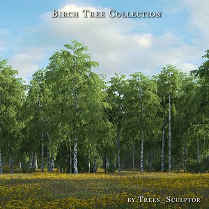 3D Birch Models - Browse & Download Formats - TurboSquid