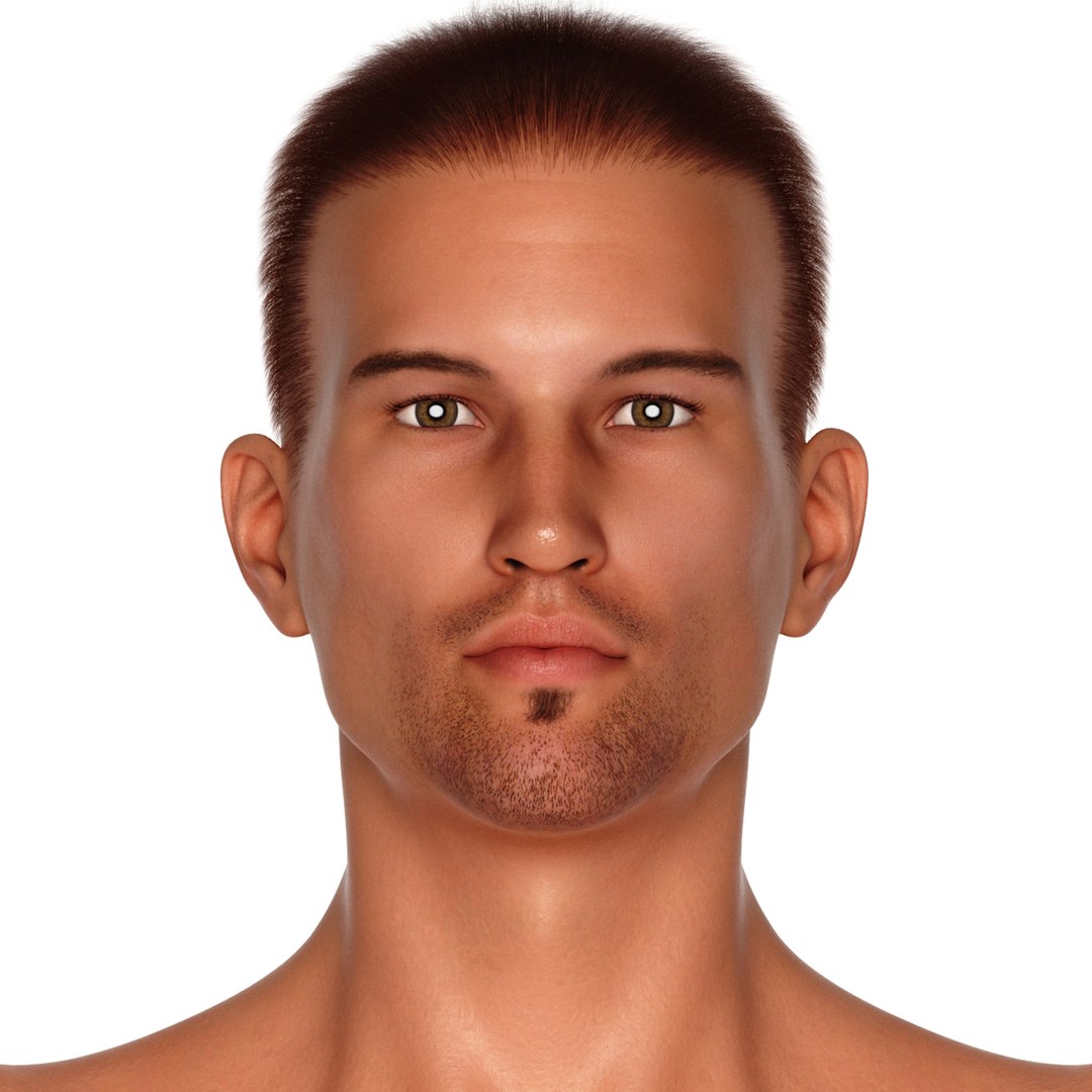 3D Gavin Model - TurboSquid 2245286