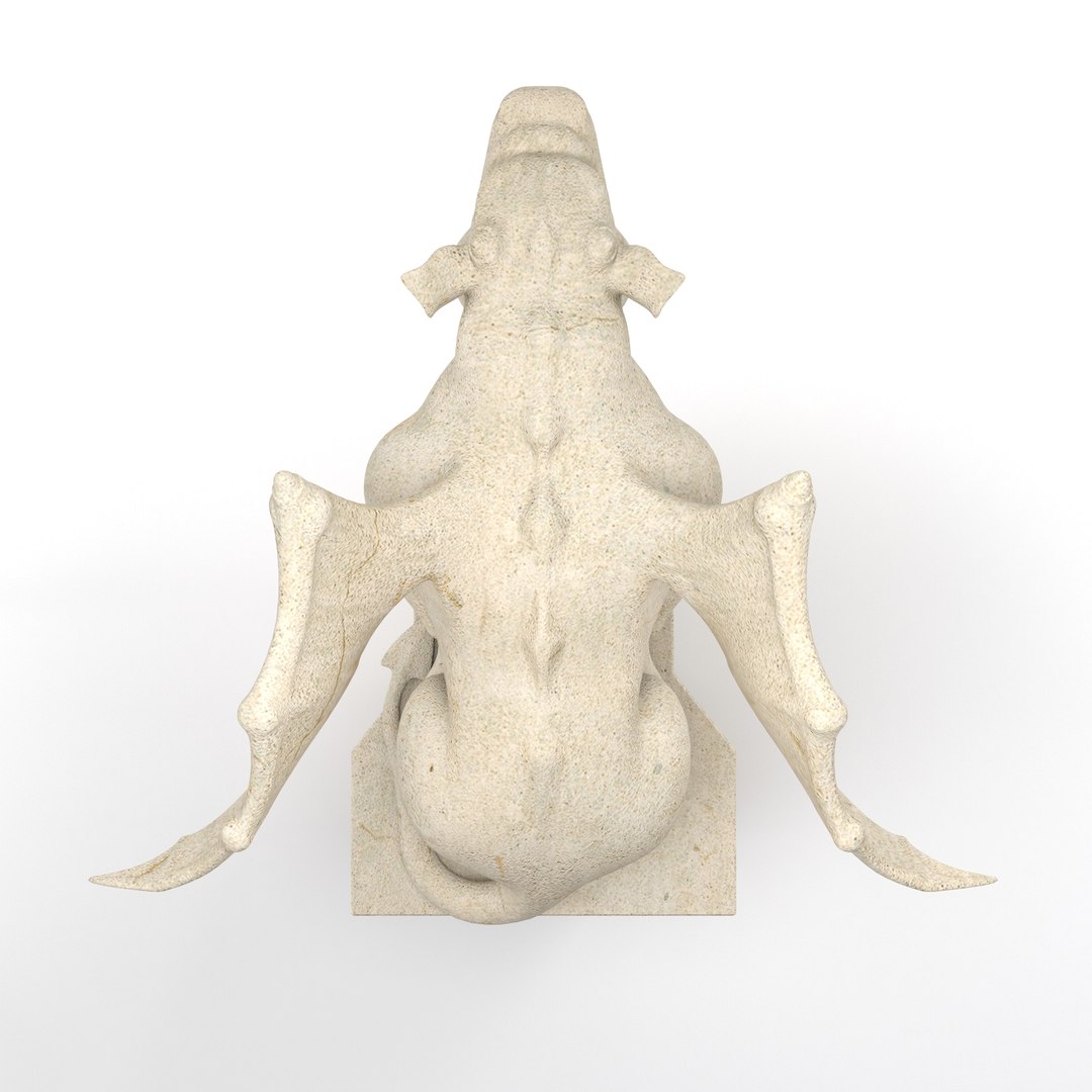 Gargoyle Gothic Statue 3D Model - TurboSquid 2159648