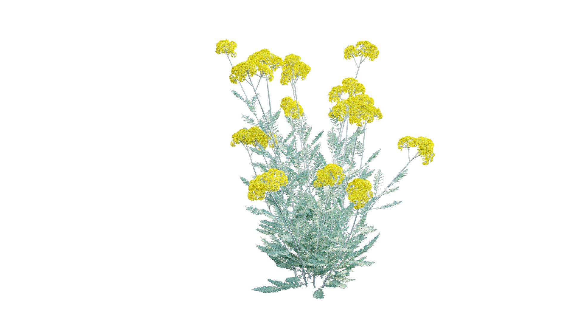3D Moonshine Yarrow Model - TurboSquid 1778849