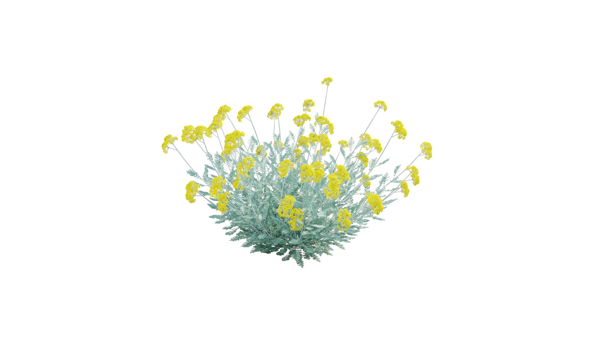 3D Moonshine Yarrow Model - TurboSquid 1778849