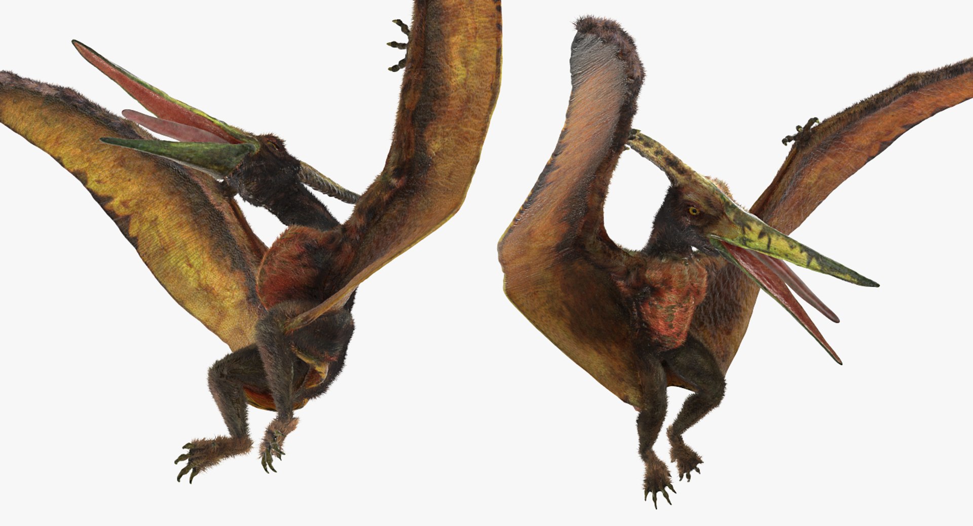 Pteranodon Flying Carnivorous Reptile Model - TurboSquid 1384557