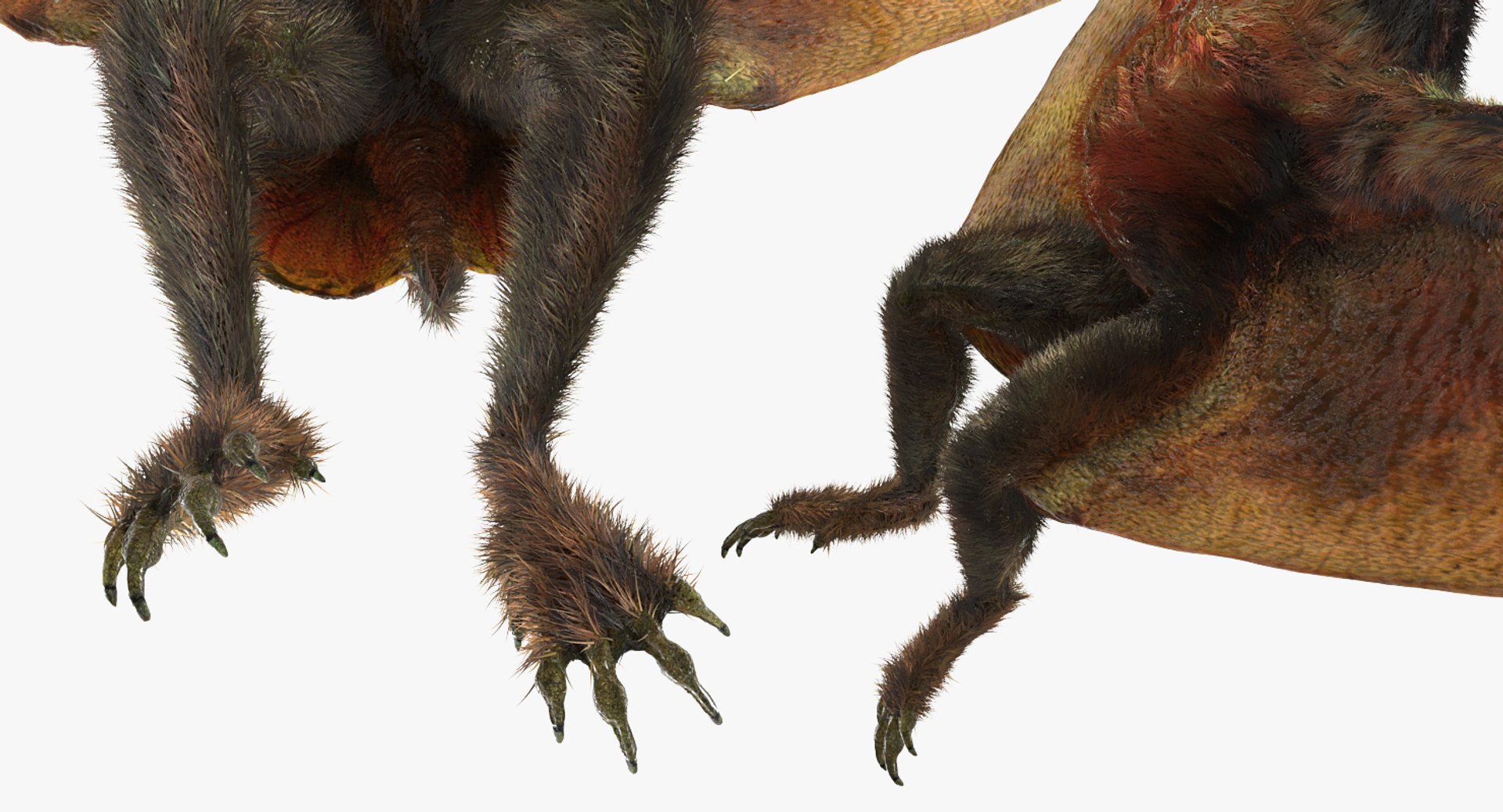 Pteranodon Flying Carnivorous Reptile Model - TurboSquid 1384557