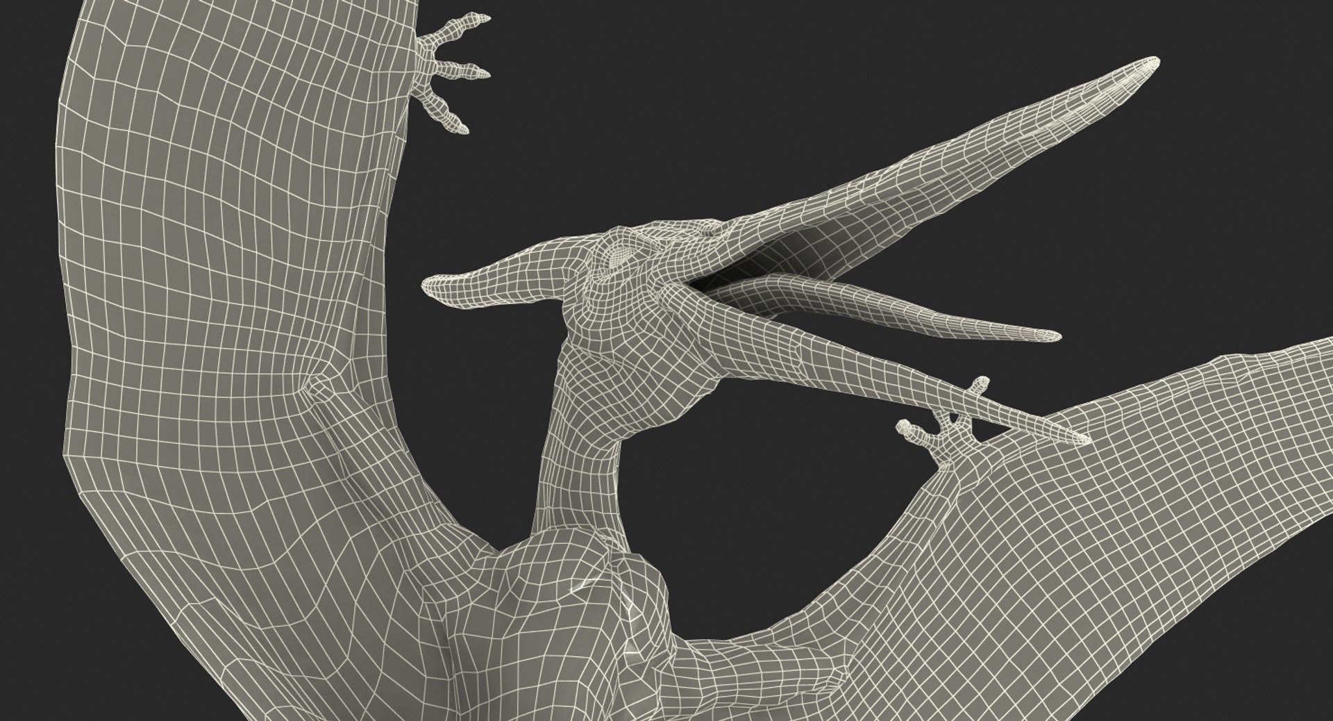 Pteranodon Flying Carnivorous Reptile Model - TurboSquid 1384557