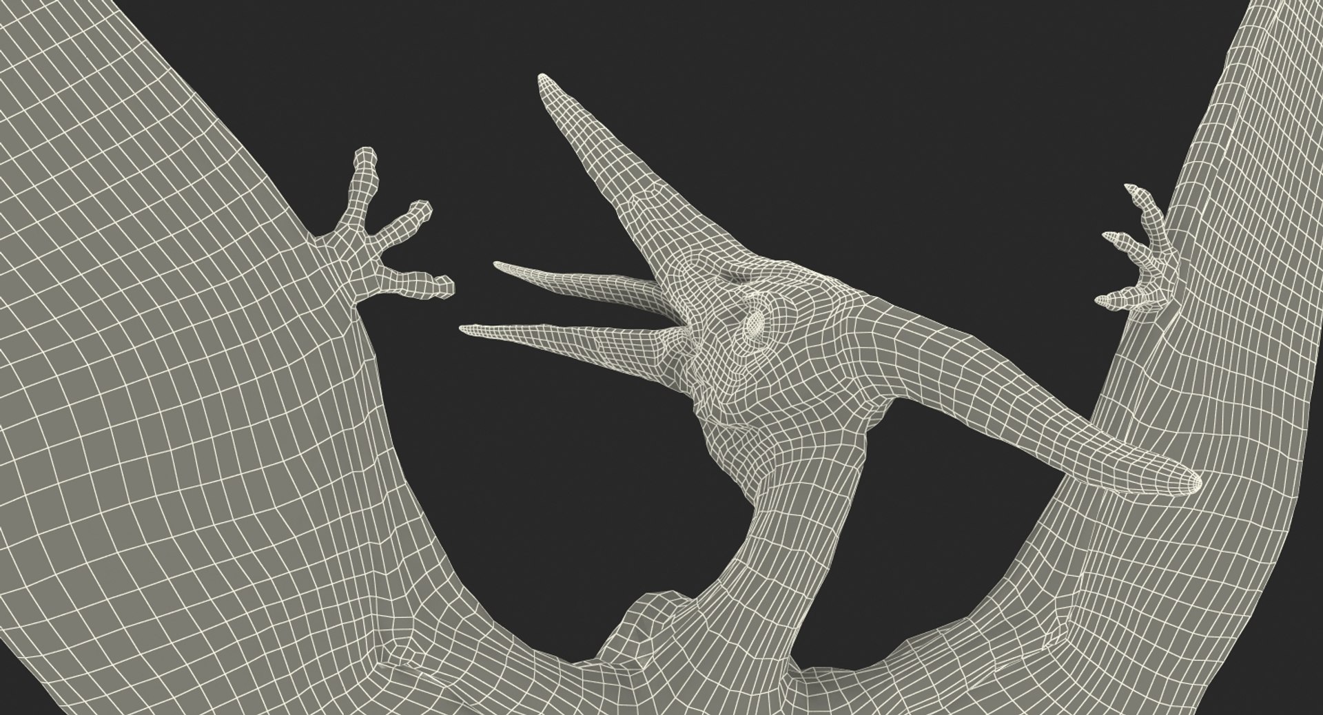 Pteranodon Flying Carnivorous Reptile Model - TurboSquid 1384557