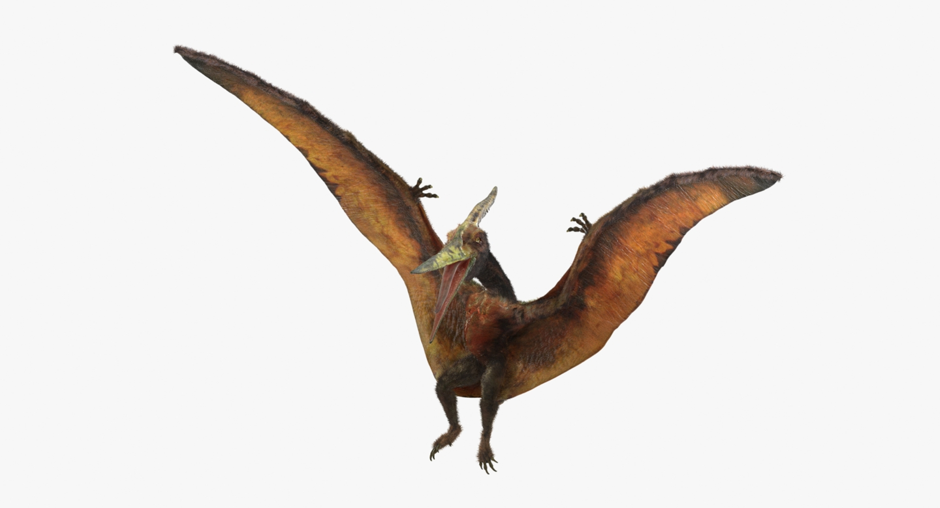 Pteranodon Flying Carnivorous Reptile Model - TurboSquid 1384557