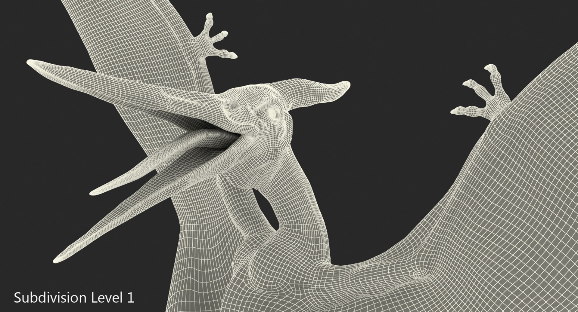 Pteranodon Flying Carnivorous Reptile Model - TurboSquid 1384557