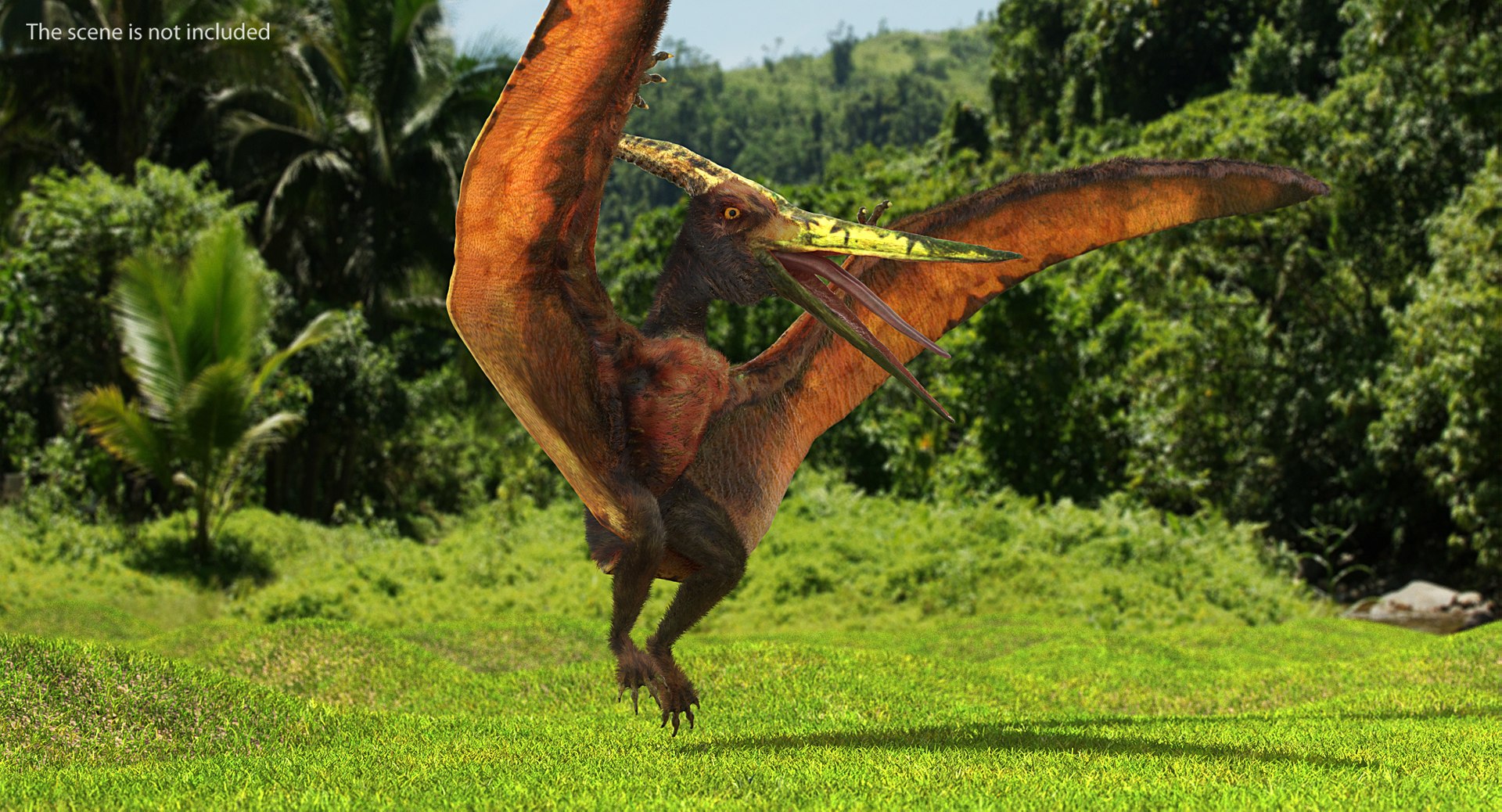 Pteranodon Flying Carnivorous Reptile Model - TurboSquid 1384557