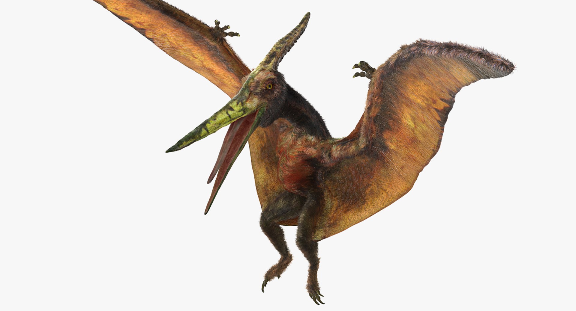 Pteranodon Flying Carnivorous Reptile Model - TurboSquid 1384557