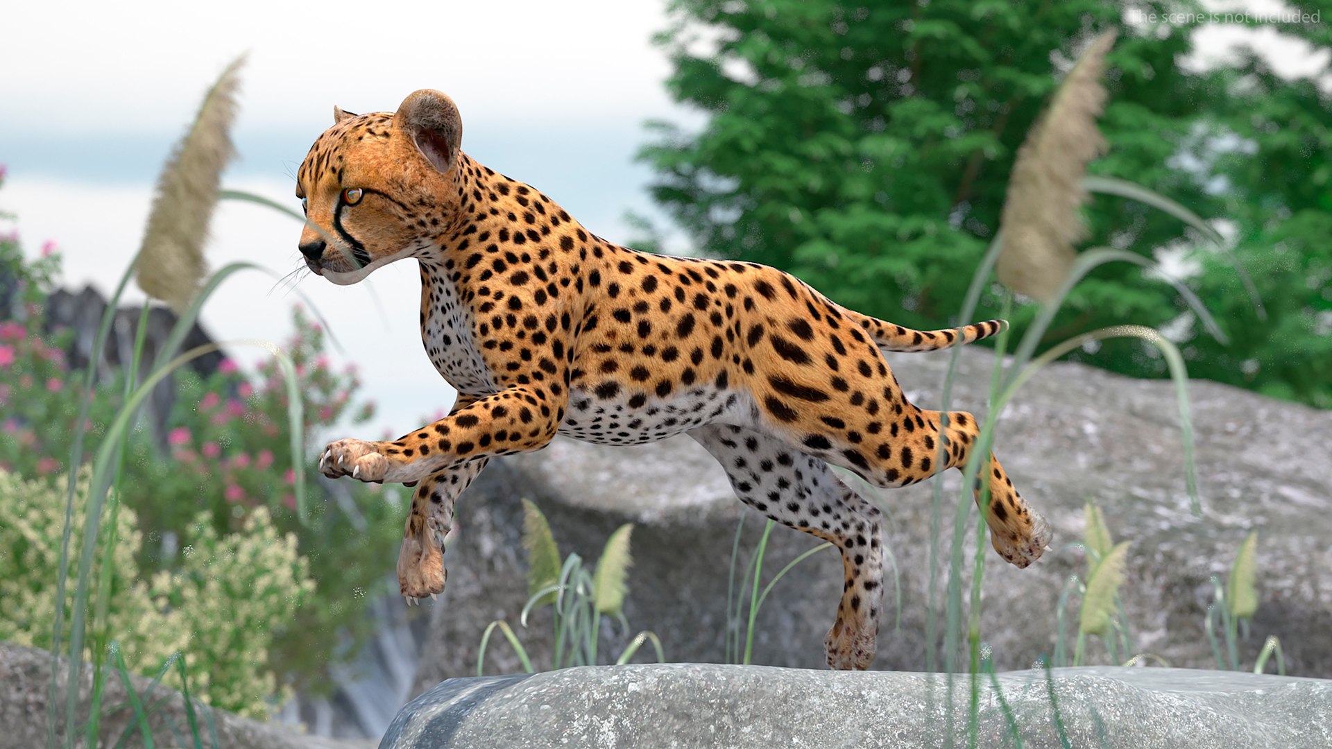 3D Cheetah Cub Rigged Model - TurboSquid 2359081