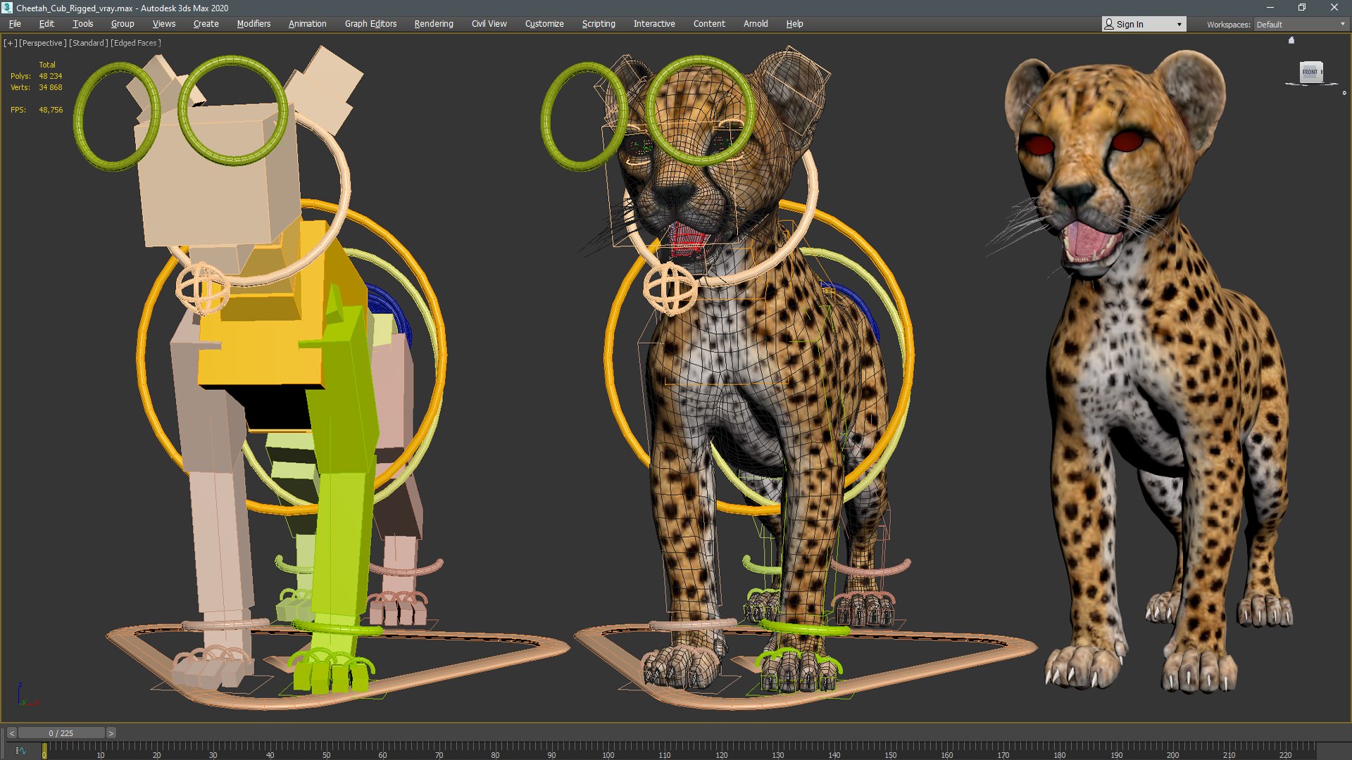 3D Cheetah Cub Rigged Model - TurboSquid 2359081