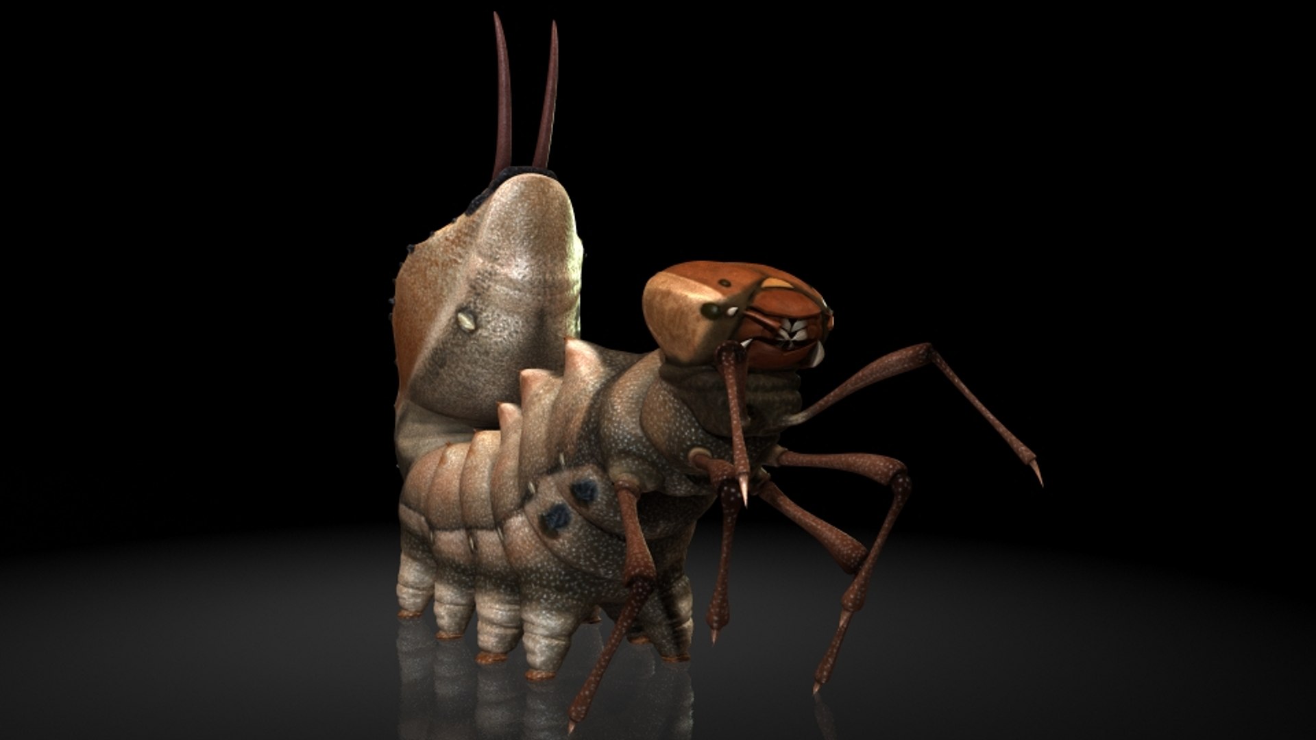 3D lobster moth insects - TurboSquid 1319695