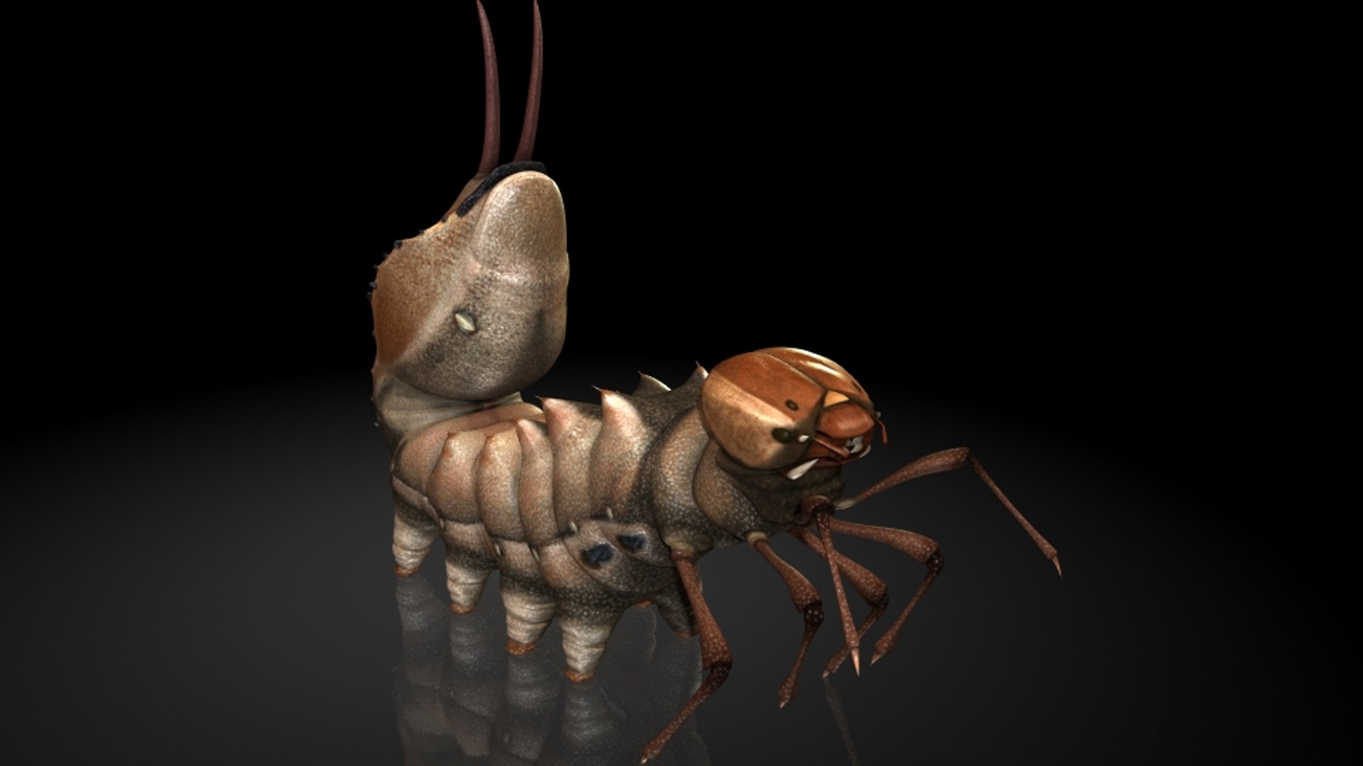 3D lobster moth insects - TurboSquid 1319695