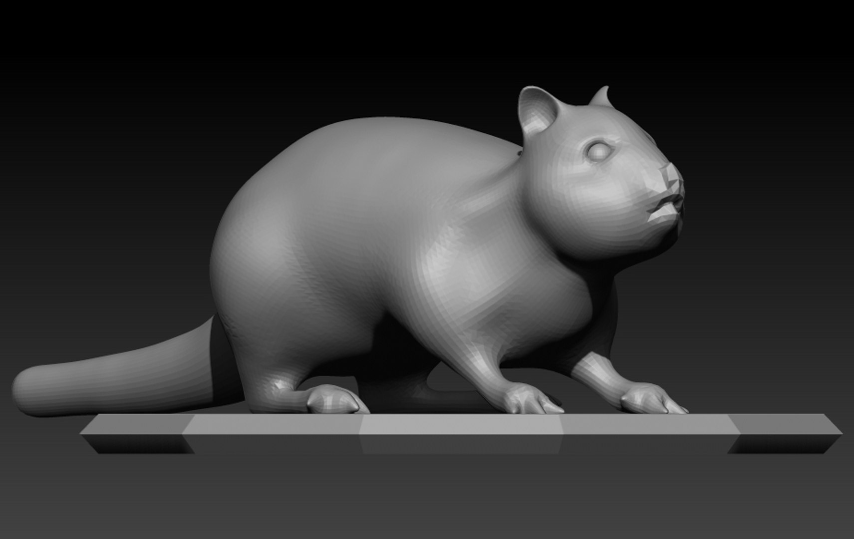 Rodent Animals Collection Model - TurboSquid 1824995