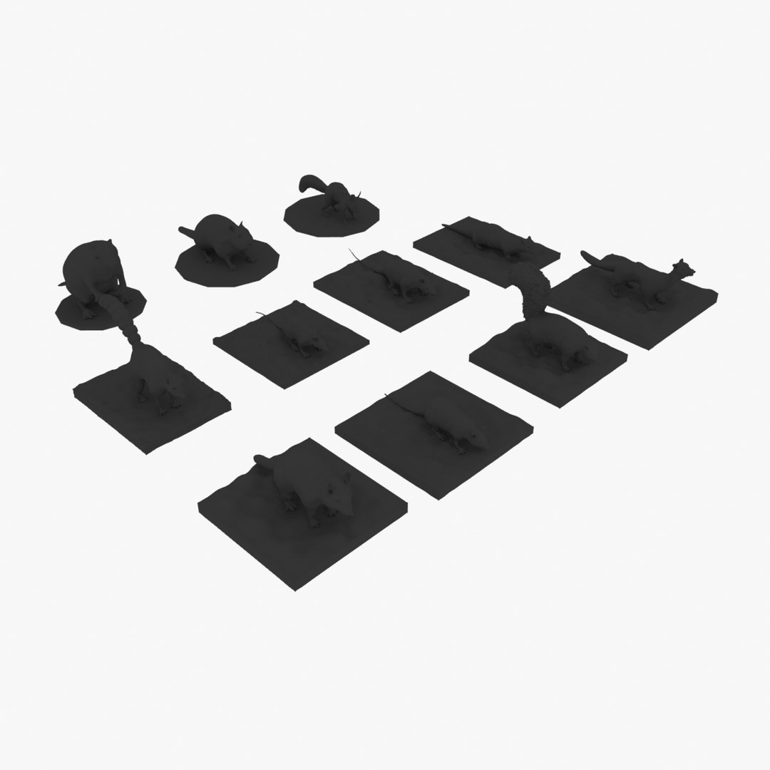 Rodent Animals Collection Model - TurboSquid 1824995