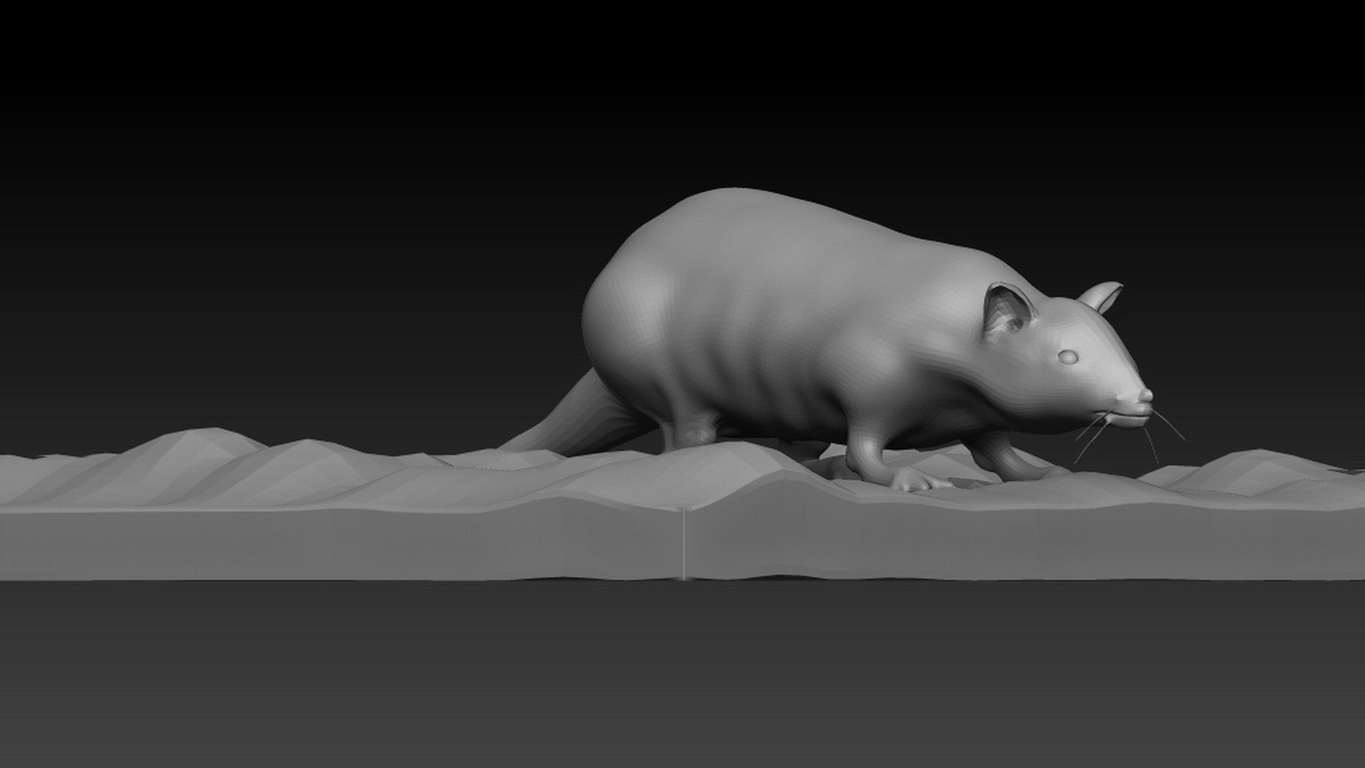 Rodent Animals Collection Model - TurboSquid 1824995