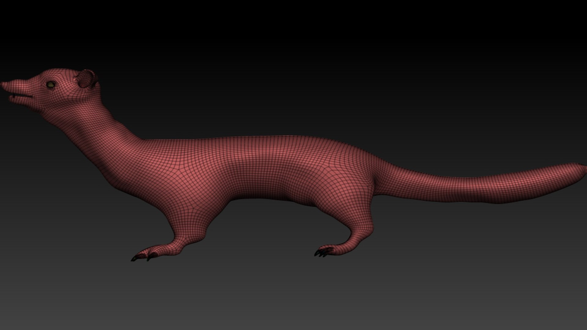 Rodent Animals Collection Model - TurboSquid 1824995