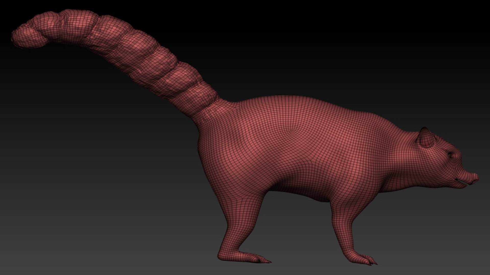 Rodent Animals Collection Model - TurboSquid 1824995