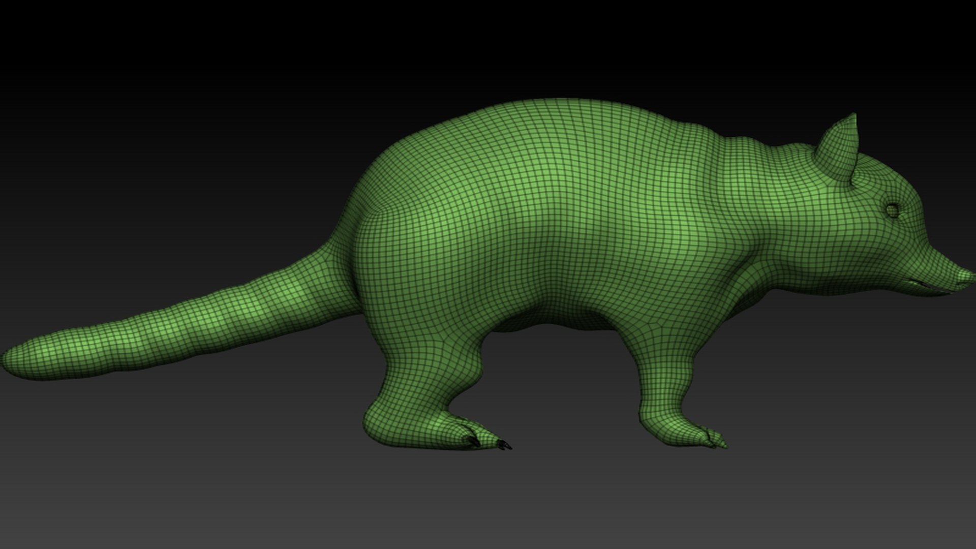 Rodent Animals Collection Model - TurboSquid 1824995