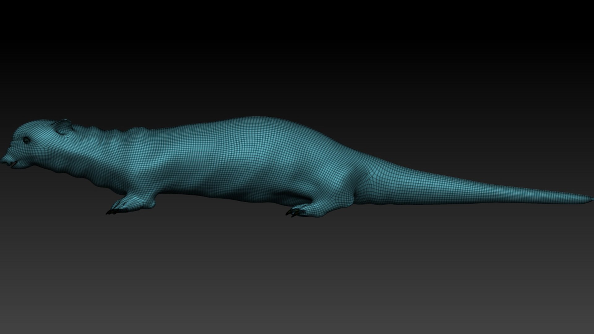 Rodent Animals Collection Model - TurboSquid 1824995