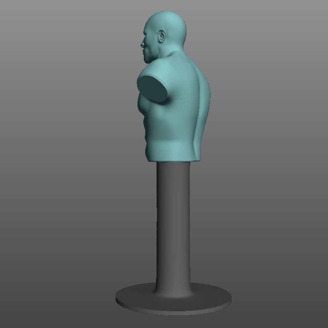 3d Training Dummy