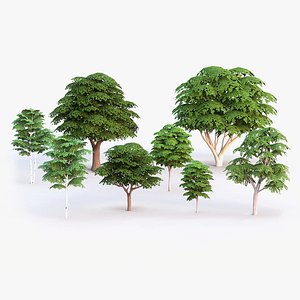 3d Model Cartoon Tree