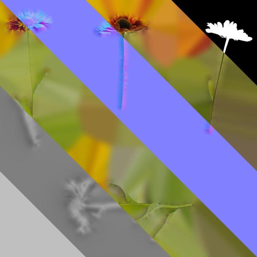 Anydrafts Helenium Autumnale Mariachi Atlas 02 Textures 3D Model ...