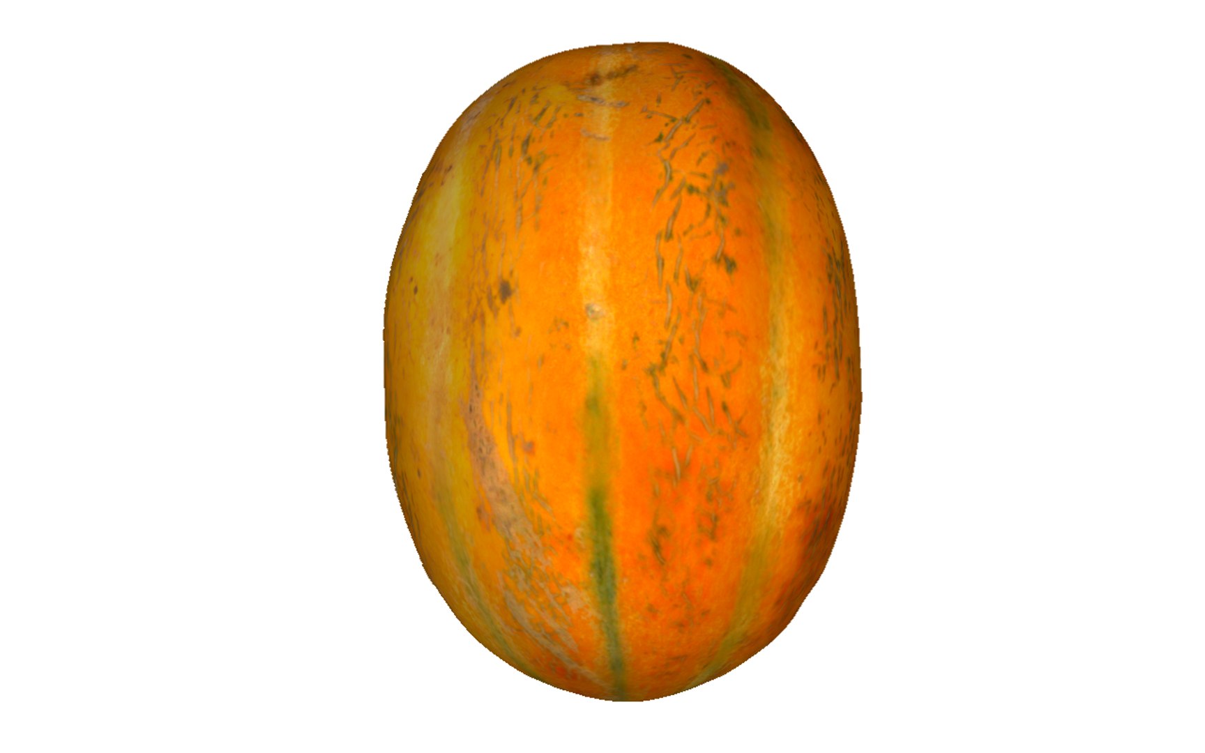 3D melon model - TurboSquid 1597865