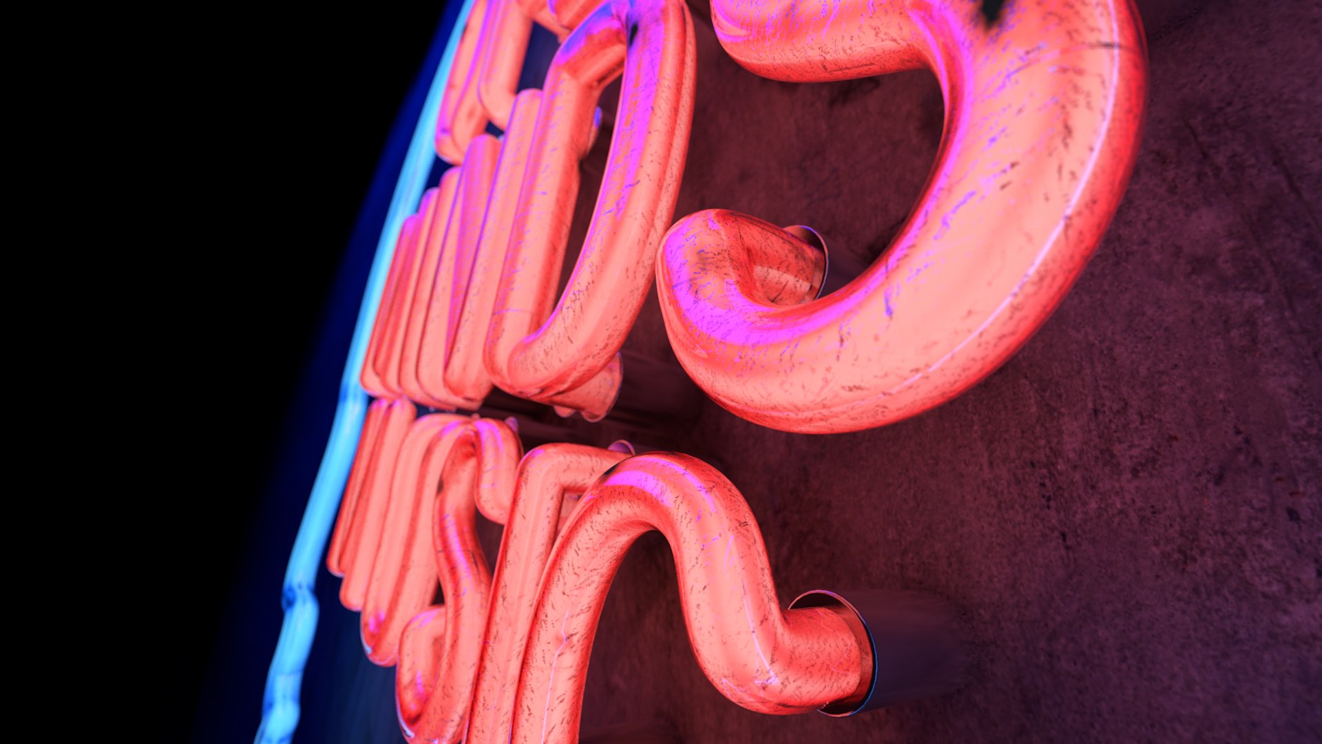 Neon Light 3D Model | 1146706 | TurboSquid