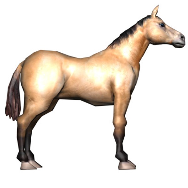 bay horse 3d model