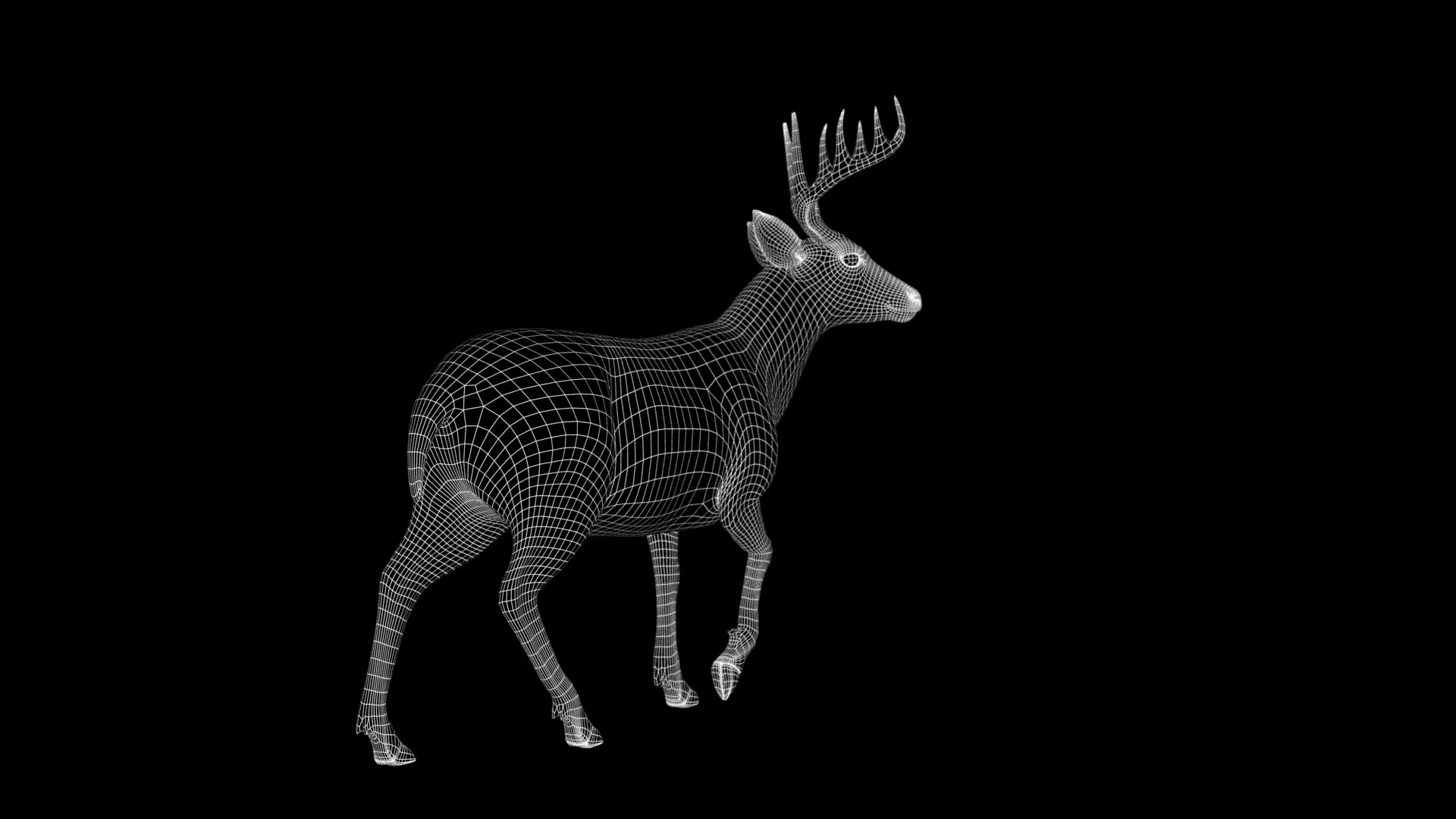 3D DEER ANIMATED XGEN-CORE Model - TurboSquid 2080645