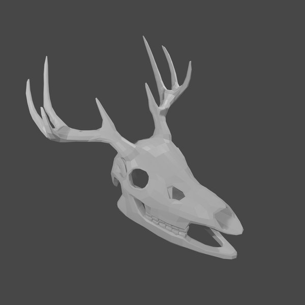 Skull anatomy deer 3D model - TurboSquid 1598533