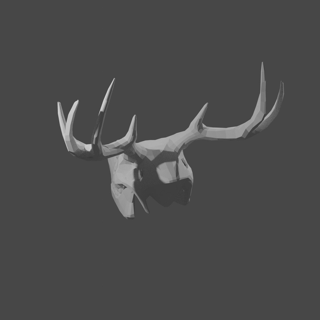 Skull Anatomy Deer 3D Model - TurboSquid 1598533
