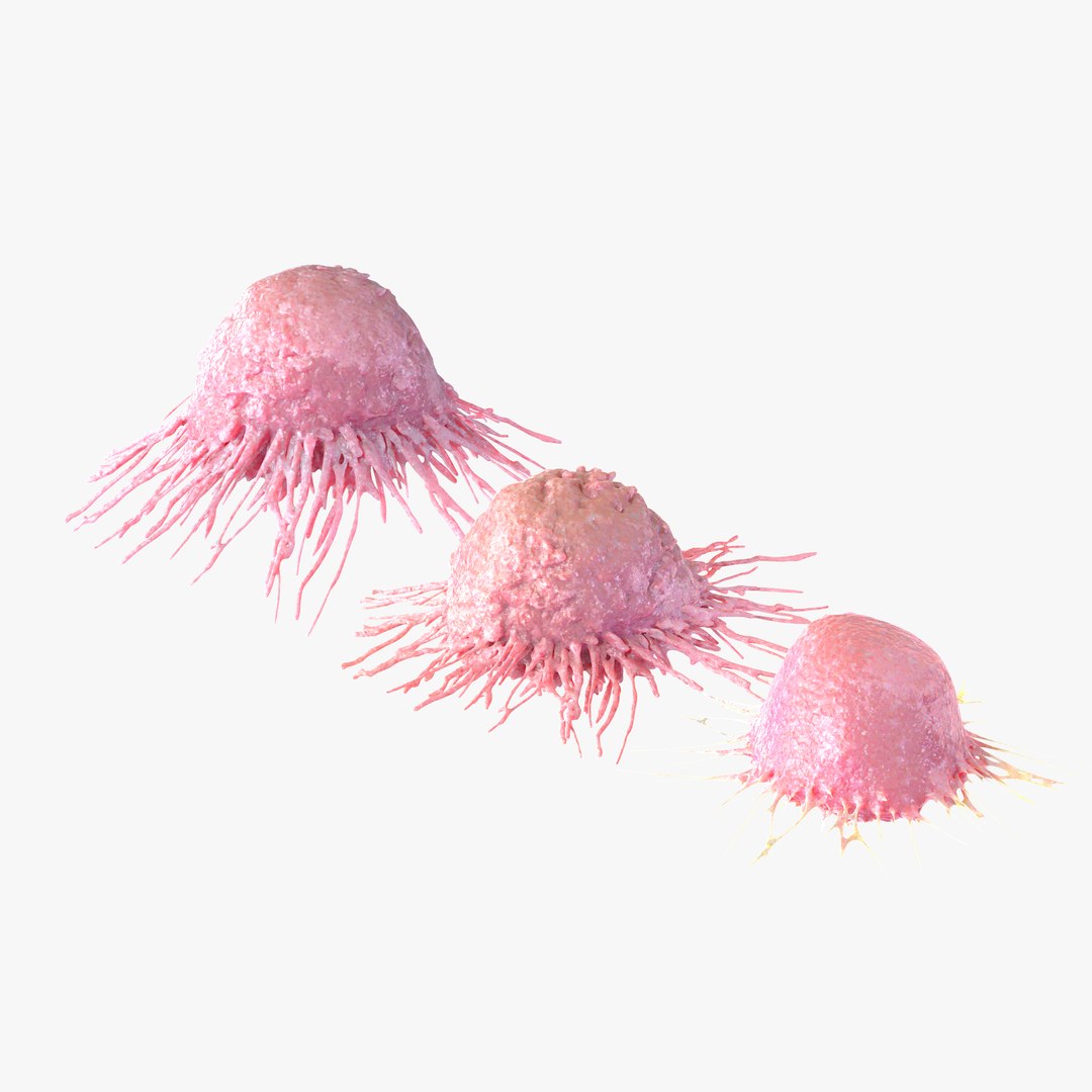 3D Cancer Cell - TurboSquid 2165606