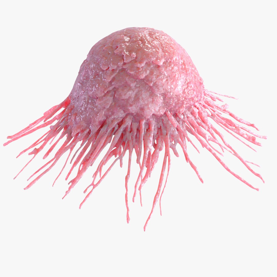 3D Cancer Cell - TurboSquid 2165606