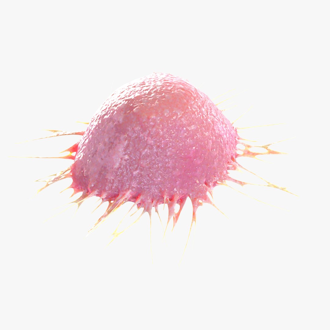 3D Cancer Cell - TurboSquid 2165606