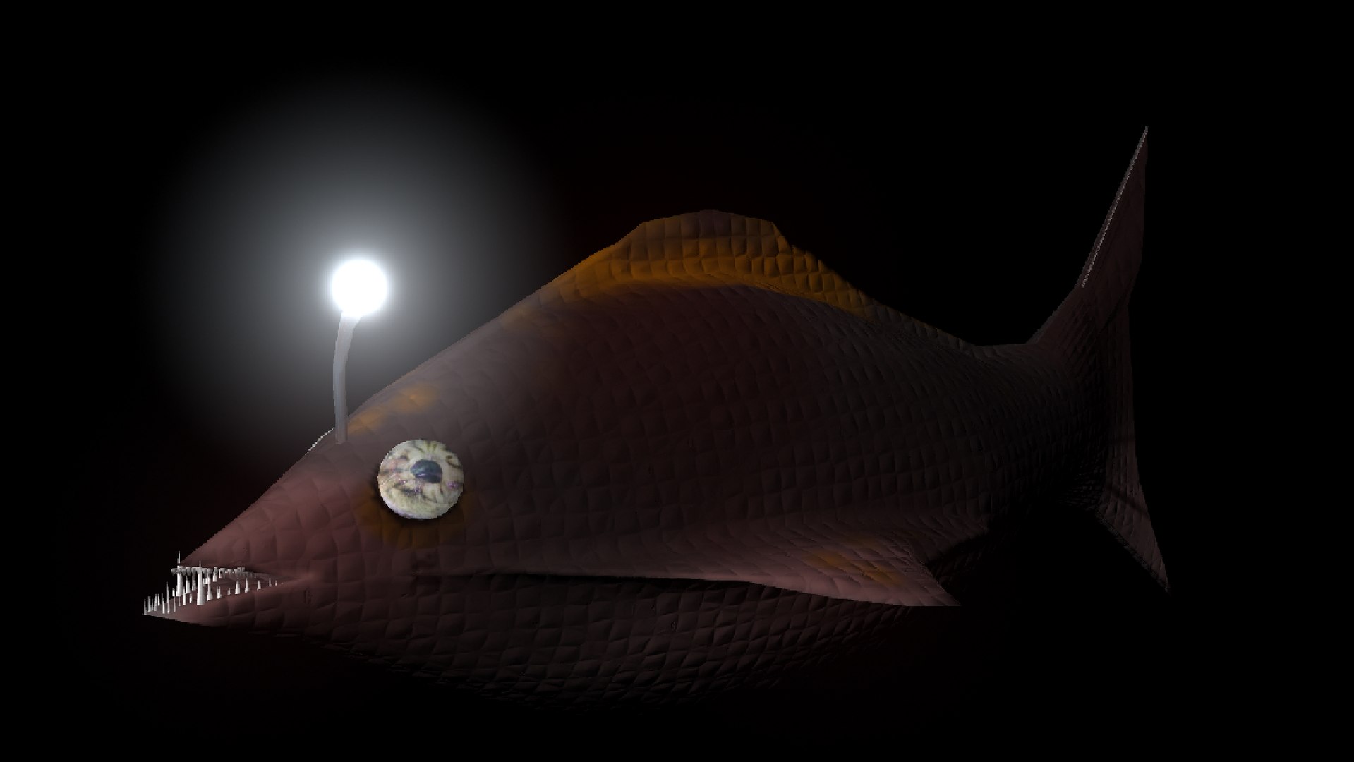 Deep Sea Fish 3D Model - TurboSquid 1654578
