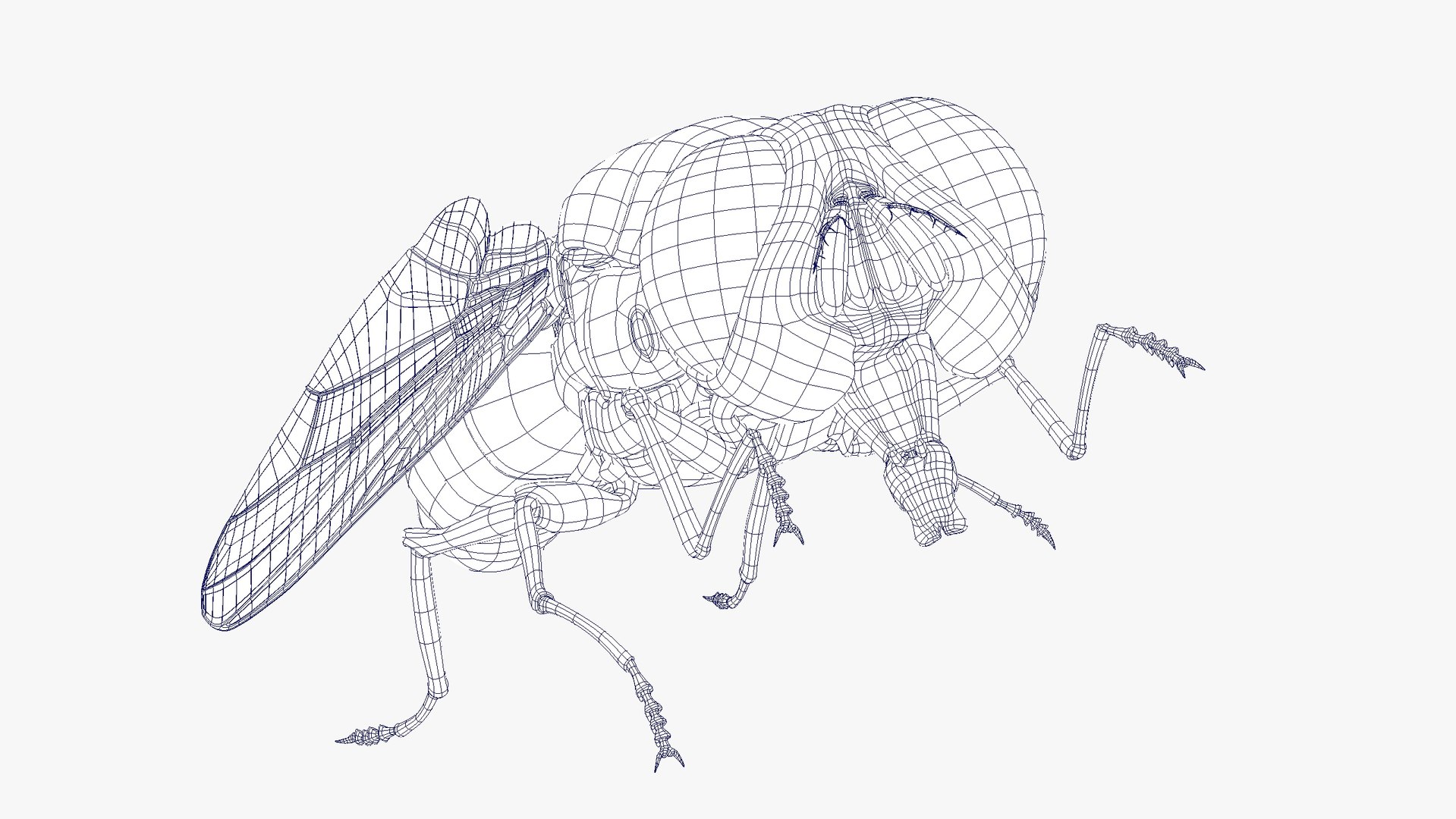 Fly ANIMATED Model - TurboSquid 2160237