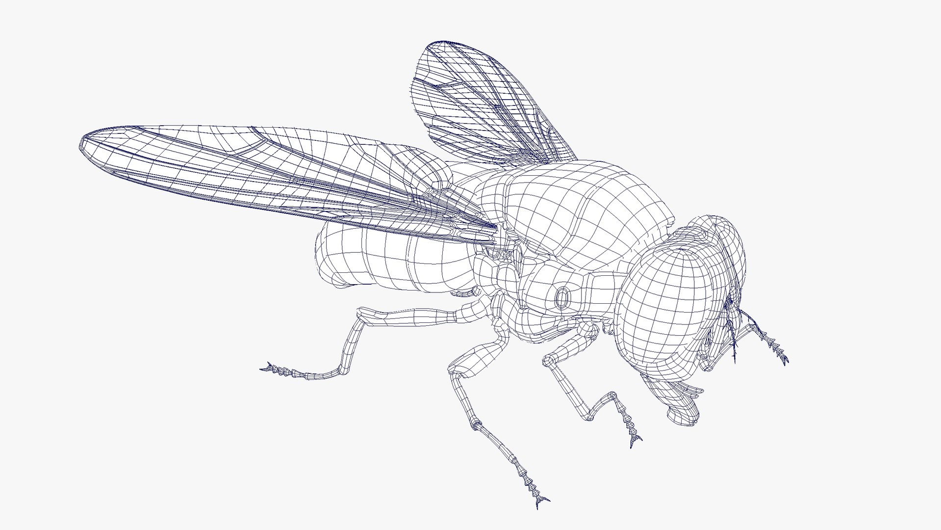 Fly ANIMATED Model - TurboSquid 2160237