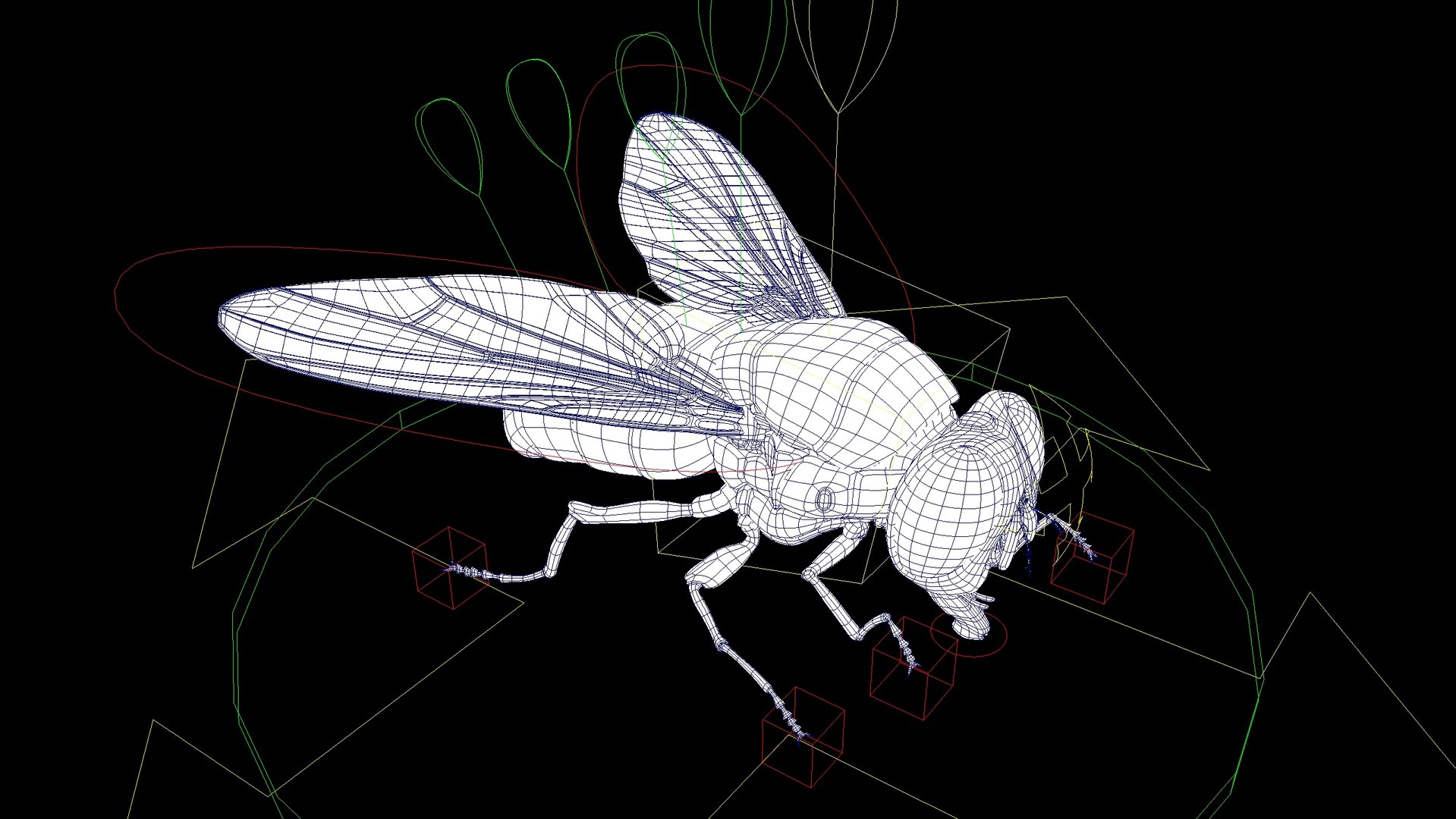 Fly ANIMATED Model - TurboSquid 2160237