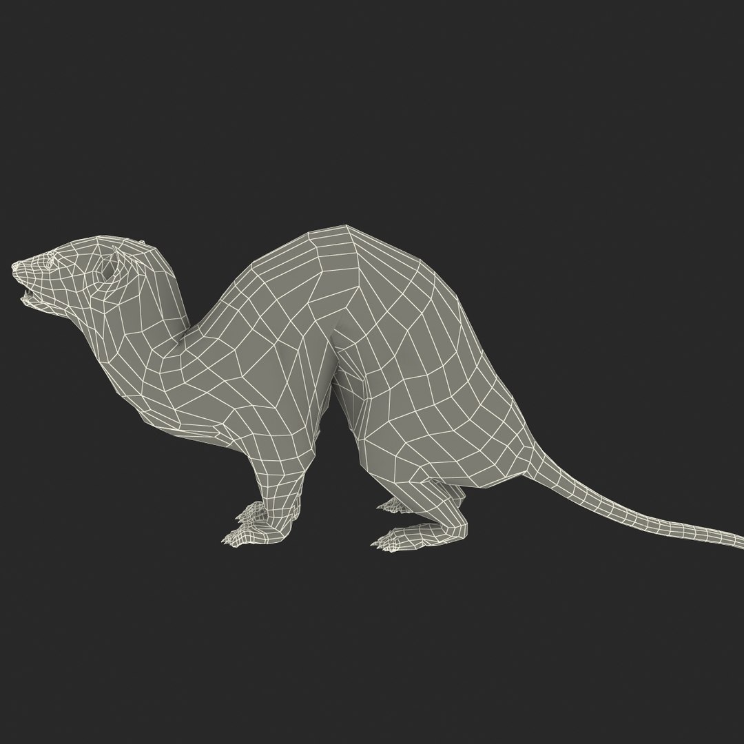 weasel pose 3 max