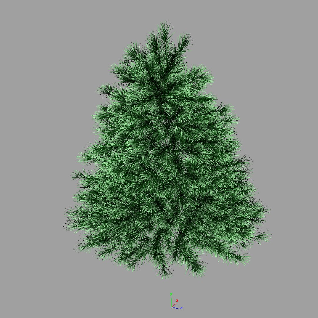 Maya Simplified Pine Tree