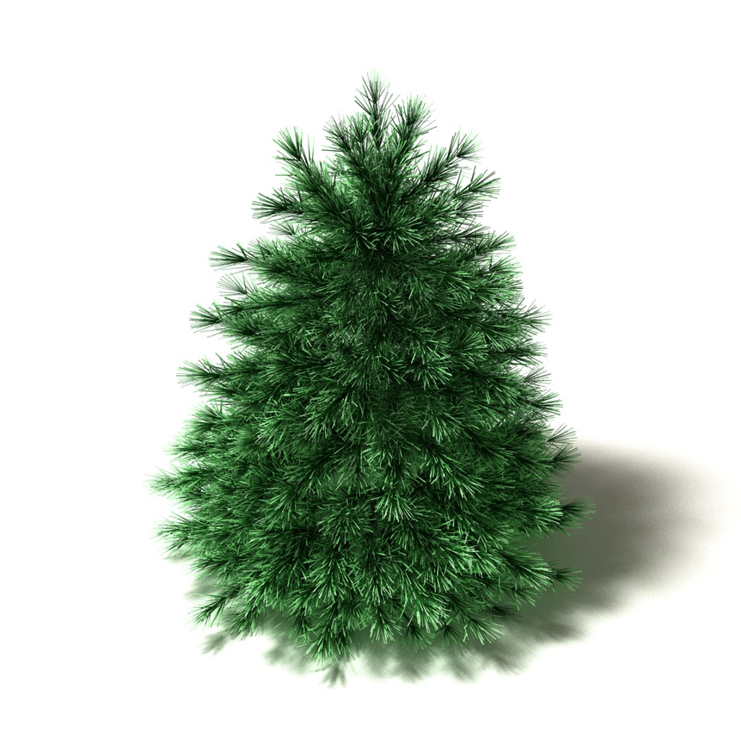 Maya Simplified Pine Tree