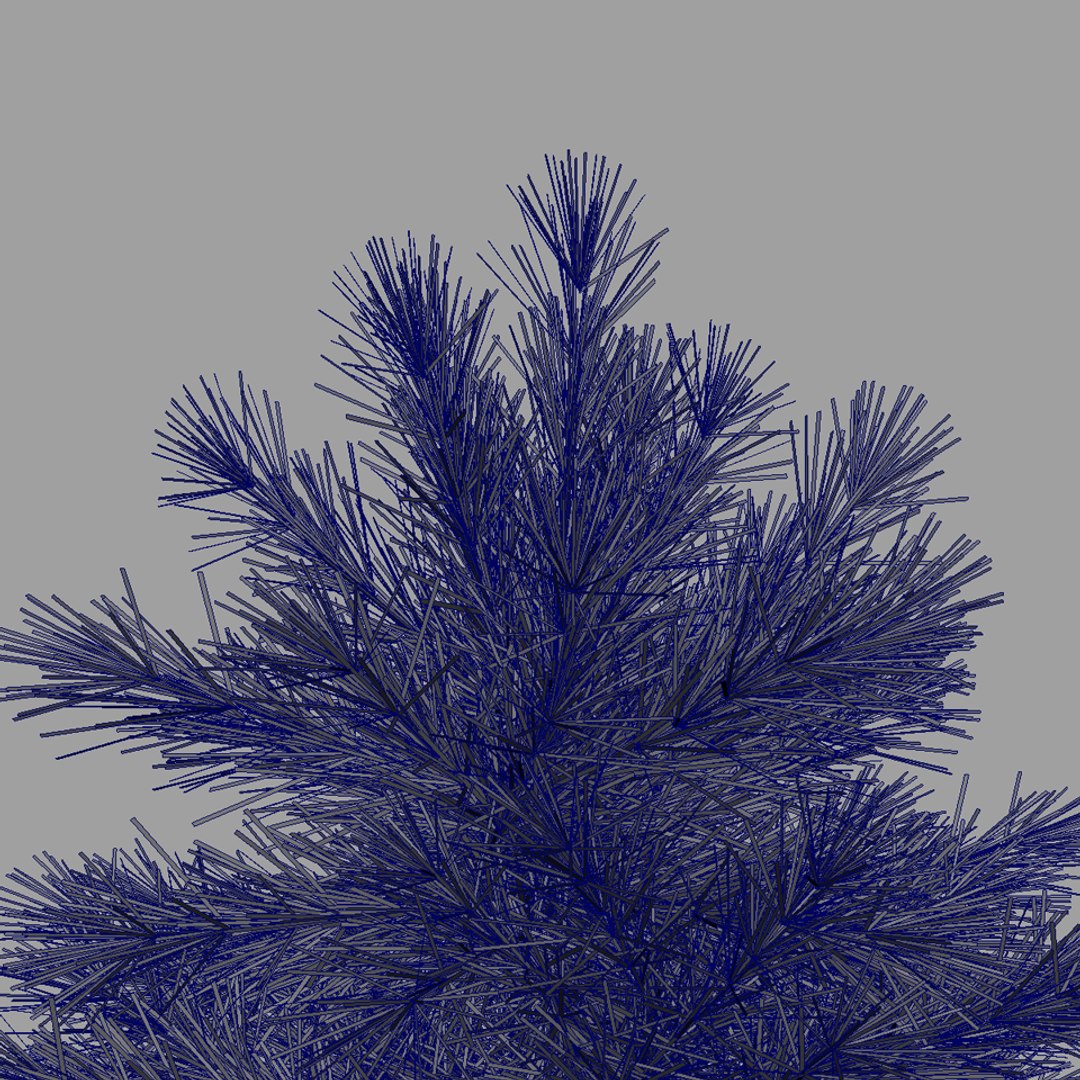 Maya Simplified Pine Tree
