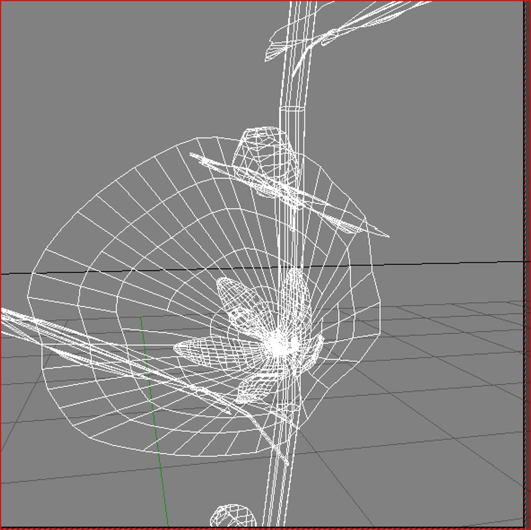 Hollyhocks Plants Alcea 3D - TurboSquid 1313914