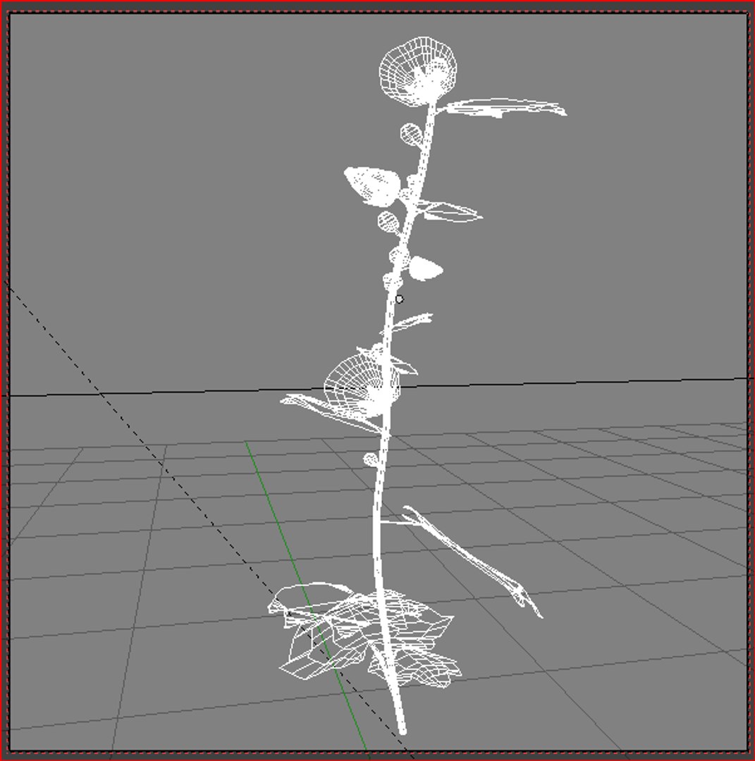 Hollyhocks Plants Alcea 3D - TurboSquid 1313914