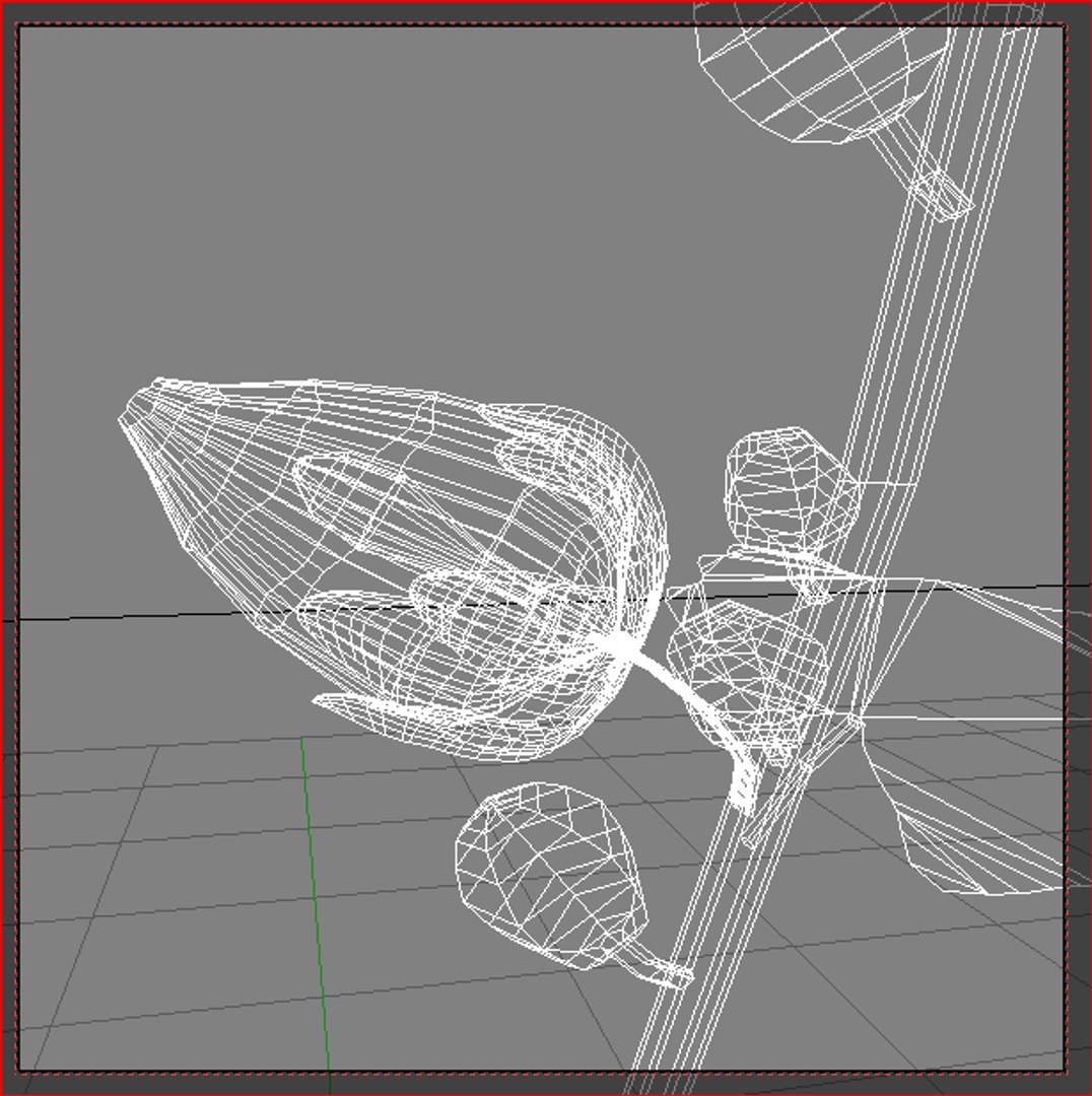 Hollyhocks Plants Alcea 3D - TurboSquid 1313914